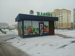 Baqsha (No:43/1, 16-shy yqsham aýdany), manavlar  Aktav'dan