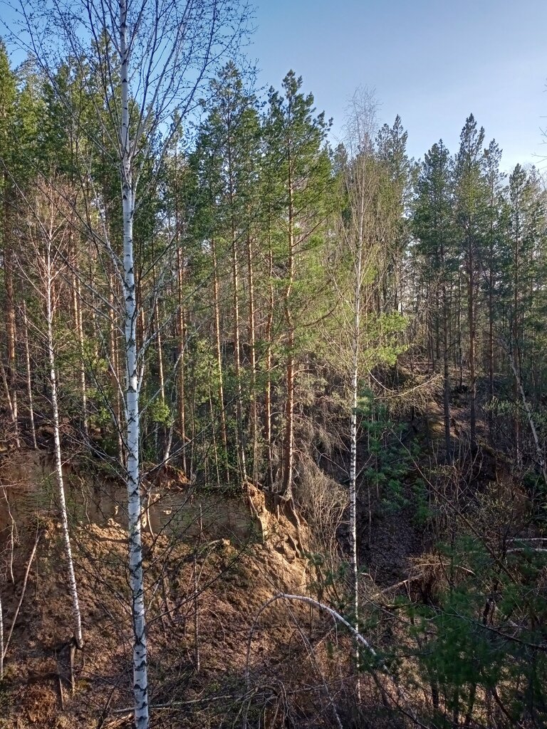 Doğa Овраг Русяйко Латко, Mordovya, foto