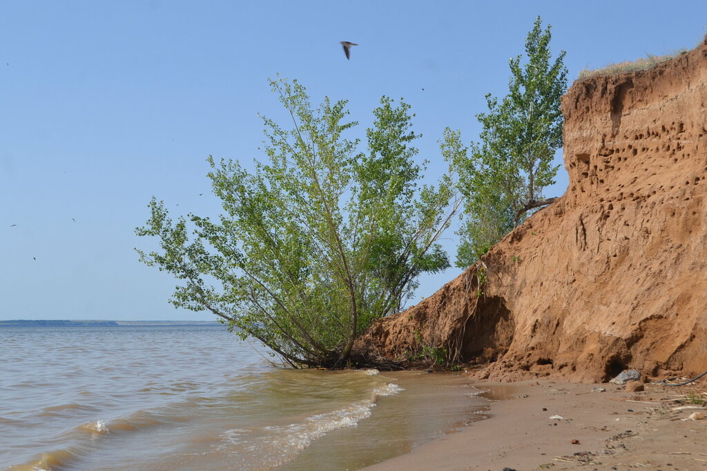 Plaj Пляж, Volgogradskaya oblastı, foto