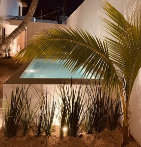 Apartments & Suites Madre Holbox Self-Check In (Baja California Sur, Ballena), otel  Quintana Roo Eyaleti'nden