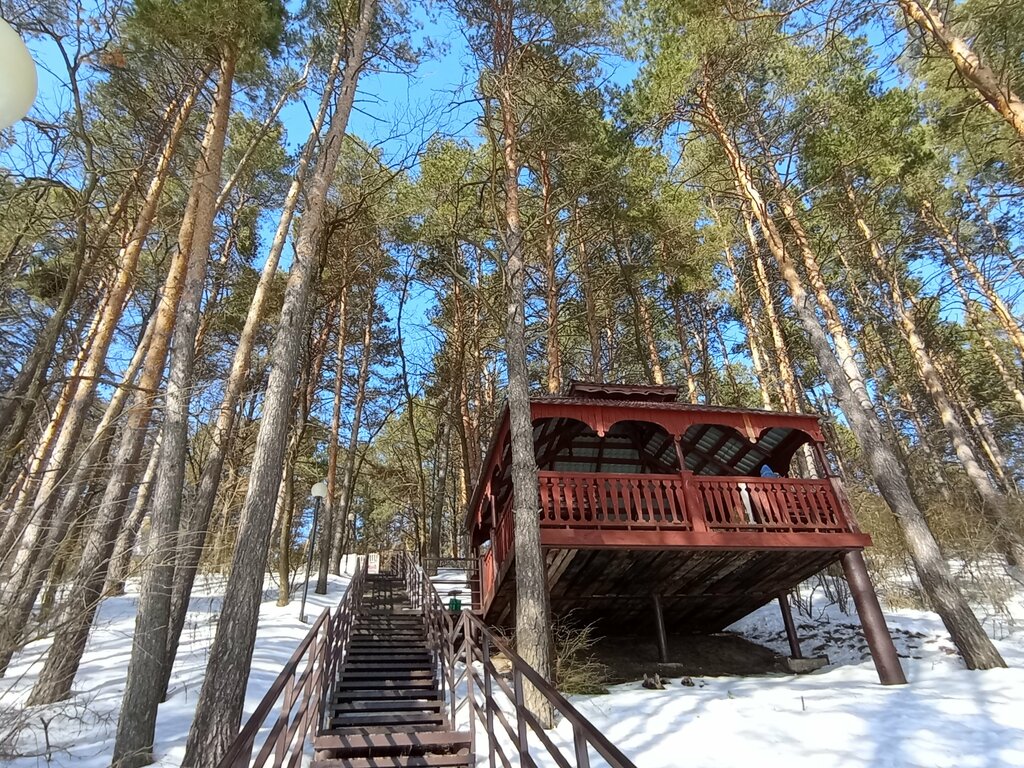 Seyir terası Смотровая площадка, Mordovya, foto