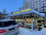 Farmers' market (Khanty-Mansi Autonomous Area, Pyt-Yakh, mikrorayon 5-y Solnechny), market  Pyt‑Yah'tan