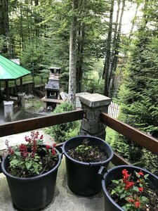 Casita del Bosque (Prahova, Sinaia), otel  Sinaia'dan