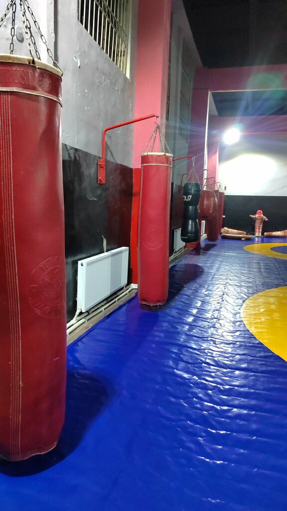 Spor kulüpleri Спортивный клуб Медведь, Коканд, Kokand, foto