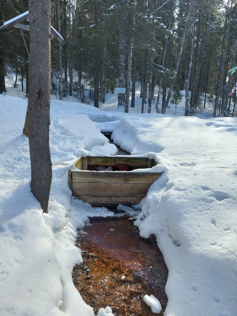 Pınar, çay Spring, stream, Arhangelskaya oblastı, foto