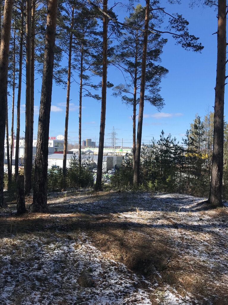 Dağ zirvesi Гора Собачья 280,2 метров, Yekaterinburg, foto
