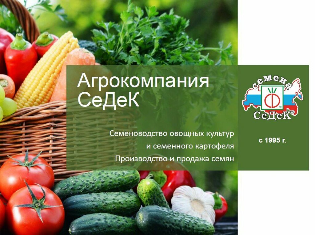 Toptancılar Седек, Moskova, foto