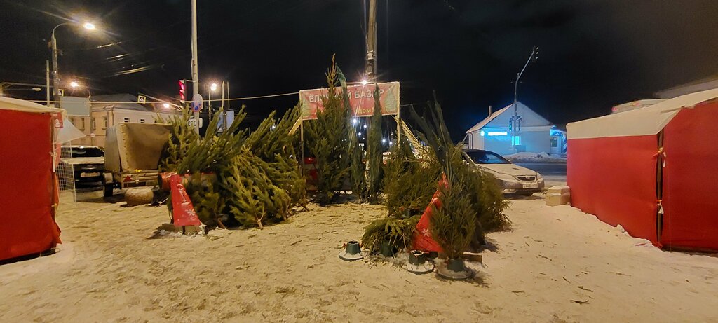 Çam ağacı pazarı Ёлочный базар, Klin, foto
