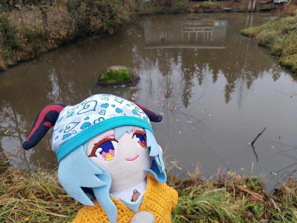 Pınar, çay Spring, stream, Sosnoviy Bor, foto