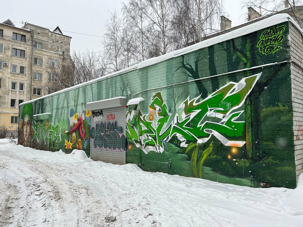 Sokak sanatı Мурал Царевна-лягушка, Yaroslavl, foto