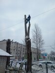Спил деревьев (prospekt Geroyev No:33), şehir planlama  Kirishi'den