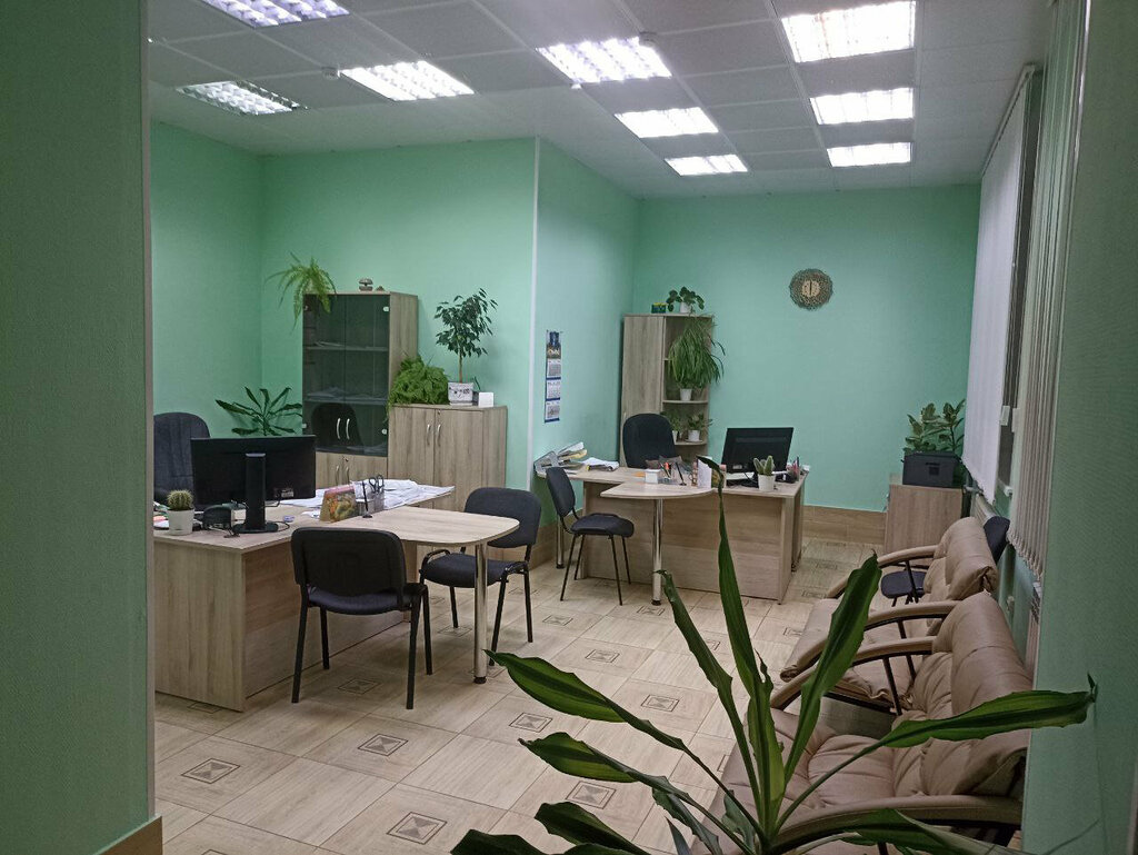 Muhasebeciler Фэс Эксперт, бухгалтерская отчетность, Yurga, foto
