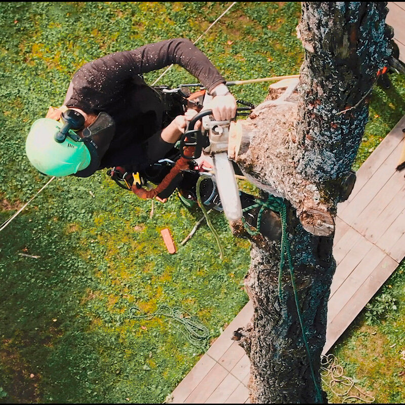 Şehir planlama Treecare, Arzamas, foto