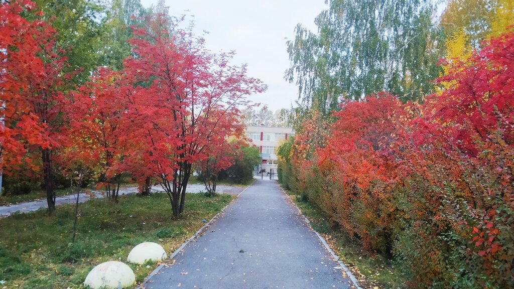 Ortaokul Secondary School № 55, Yekaterinburg, foto