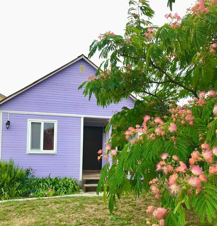 Konuk evi Дом для отпуска, Kırım Cumhuriyeti, foto