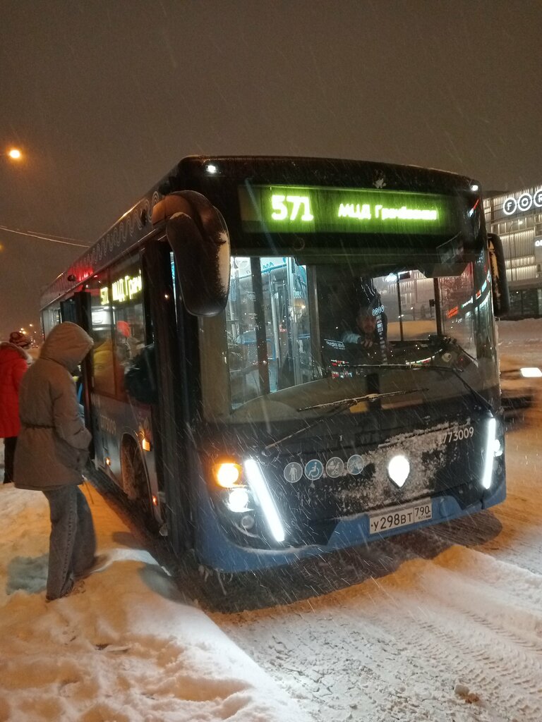 Toplu taşıma durağı Metro Otradnoe, Moskova, foto