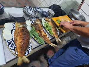 Shashlik and Fish (No:8, Quyoshli shaharchasi), kafe  Taşkent eyaletinden