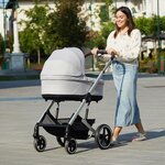 Cybex (Екатерининская улица No:44), çocuk arabası  Simferopol'dan (Akmescit'ten)