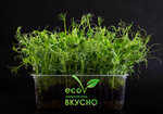 Eco Вкусно Микрозелень (4-ya Lesnaya ulitsa No:30, territoriya Novoye Trubino), manavlar  Moskova ve Moskovskaya oblastından