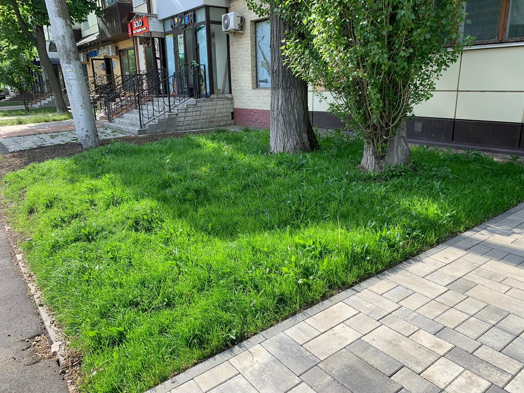 Hukuk büroları Городская юридическая служба, Lipetsk, foto