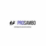 Prosambo (Uinskaya Street No:66), spor kulüpleri  Perm'den