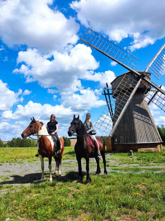 At ve binicilik kulüpleri Verhom, Minskaya oblastı, foto