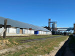 Tatishchevsky Elevator (Promyshlennaya ulitsa No:13, rabochiy posyolok Tatishchevo), silo  Saratovskaya oblastından