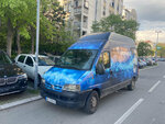 Alfa Selidbe Beograd (Kicevska Street No:1, Belgrade), evden eve nakliye  Belgrad'dan