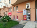 Copy Cat (Aksakova street No:104), yabancı dil kursları  Kaliningrad'dan