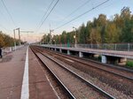 платформа Осеевская (Moscow Region, Shchyolkovo Urban District), tren istasyonu  Moskova ve Moskovskaya oblastından