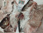 Арт-Рыба (ulitsa Aleksandra Klubova No:27А, Vologda), balık ve deniz ürünleri  Vologda'dan