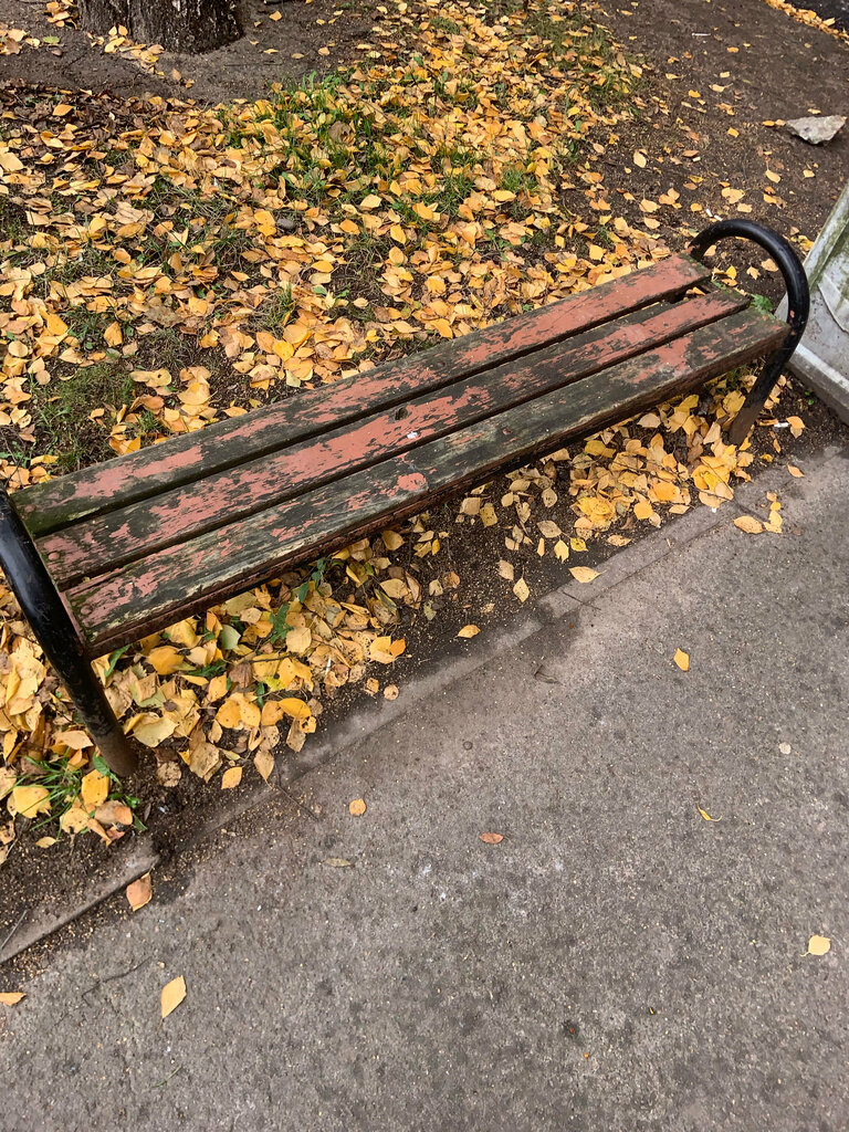 Bank Bench, Saint‑Petersburg, foto