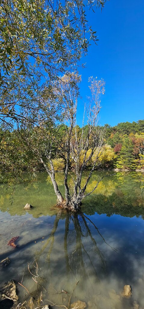 Turistik yerler Стан-бивак для отдыха на озере, Kırım Cumhuriyeti, foto