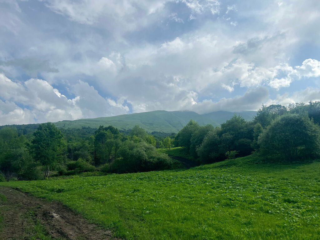 Dağ zirvesi Гора Цанта 2294 м, Dağıstan, foto