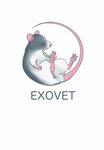 Exovet (Dekabrskikh Sobytiy Street No:105В), veteriner klinikleri  Irkutsk'tan