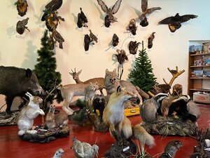Краеведческий музей (Kommunisticheskaya ulitsa No:36, Melenki), müzeler ve sanat galerileri  Melenki'den