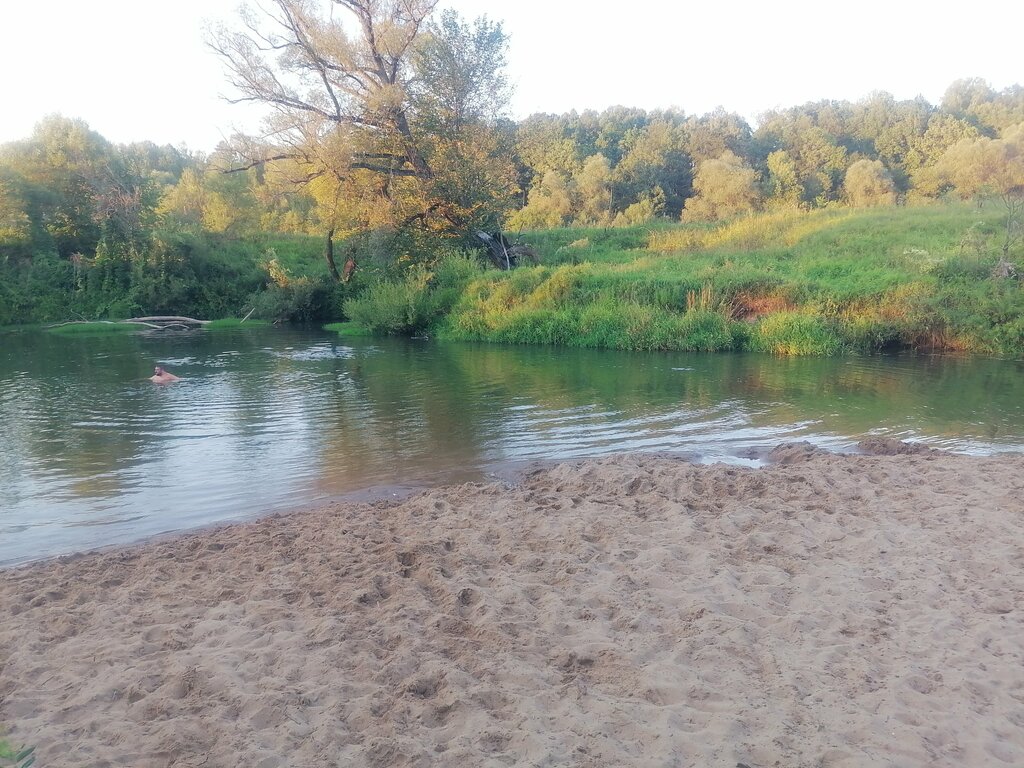 Plaj Beach, Kalujskaya oblastı, foto