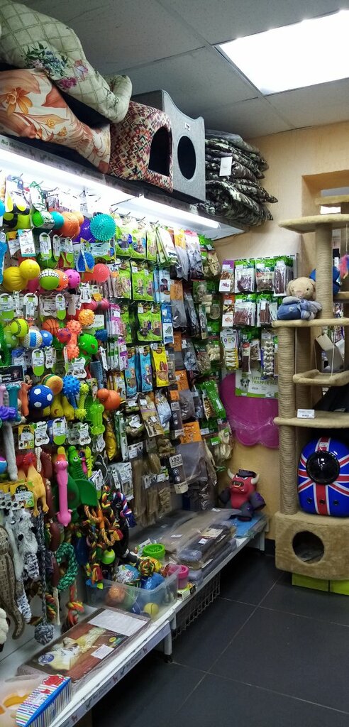 Petshop Mir khvostatykh, Perm, foto