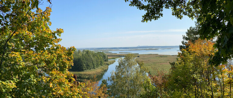 «Семейный досуг с детьми в Воронеже» фото материала