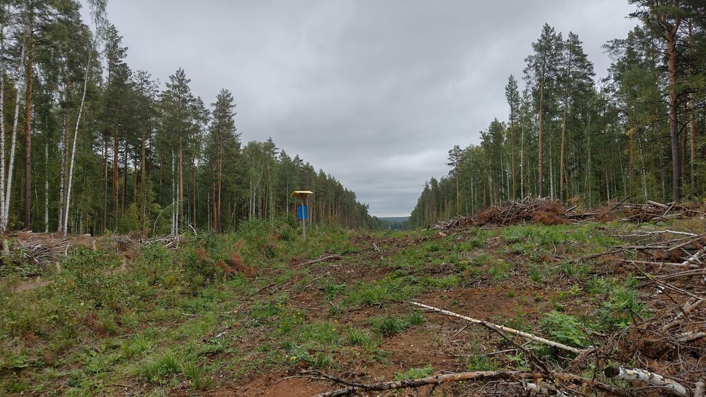 Turistik yerler Говорухинский хромовый рудник, Sverdlovskaya oblastı, foto