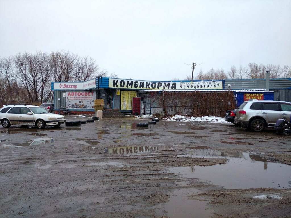 Otomotiv aydınlatma Bazzap, Omsk, foto