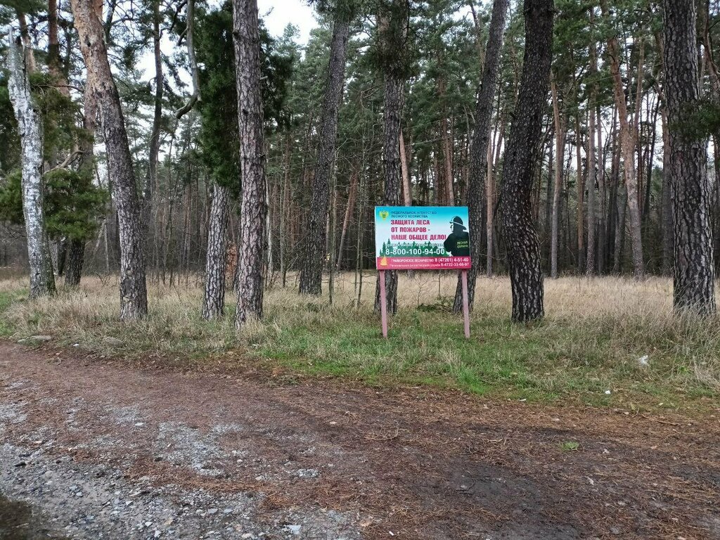 Doğa koruma alanı ООПТ регионального значения государственный природный комплексный заказник Урочище Чехово, Belgorodskaya oblastı, foto