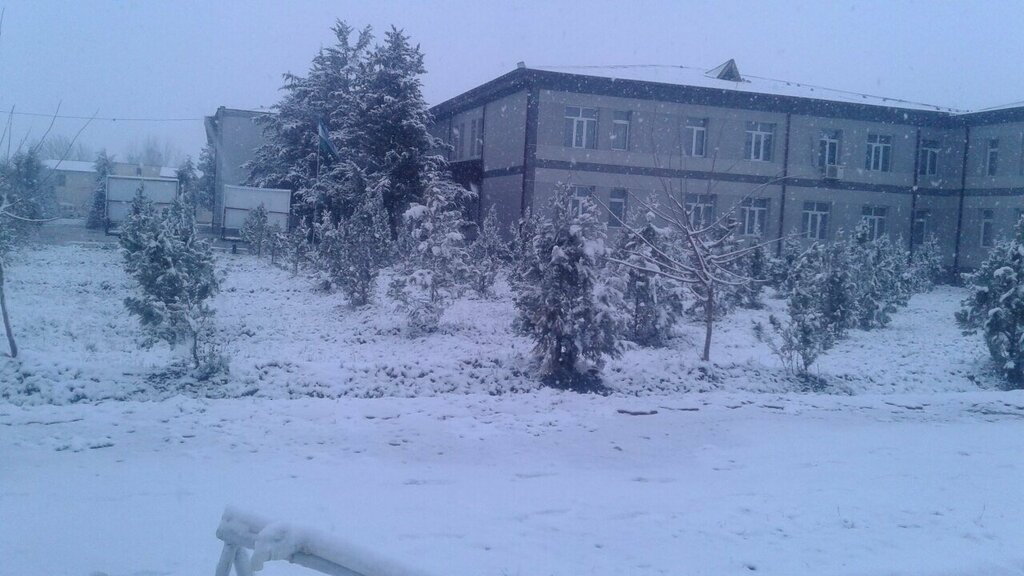 Ortaokul Secondary School № 26, Semerkant eyaleti, foto