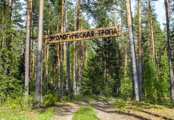 Doğa koruma alanı Особо охраняемая природная территория регионального значения Медведский Бор, Kirovskaya oblastı, foto