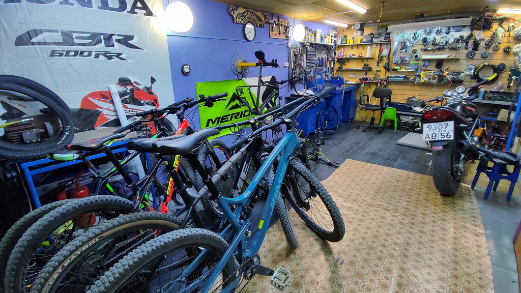 Bisiklet tamircileri Bikeservice, Aşa, foto