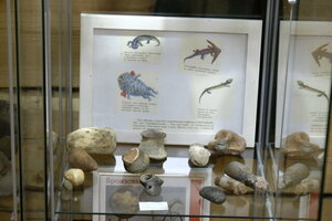 Secrets of the life of the Earth (Sovetskaya ulitsa No:19, derevnya Verkola), müzeler ve sanat galerileri  Arhangelskaya oblastından