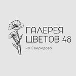 Flowers Gallery 48 (I.V. Sviridova Street No:9к1), çiçekçiler  Lipetsk'ten