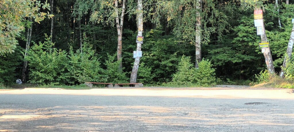 Piknik alanı Место для пикника, Vladimirskaya oblastı, foto