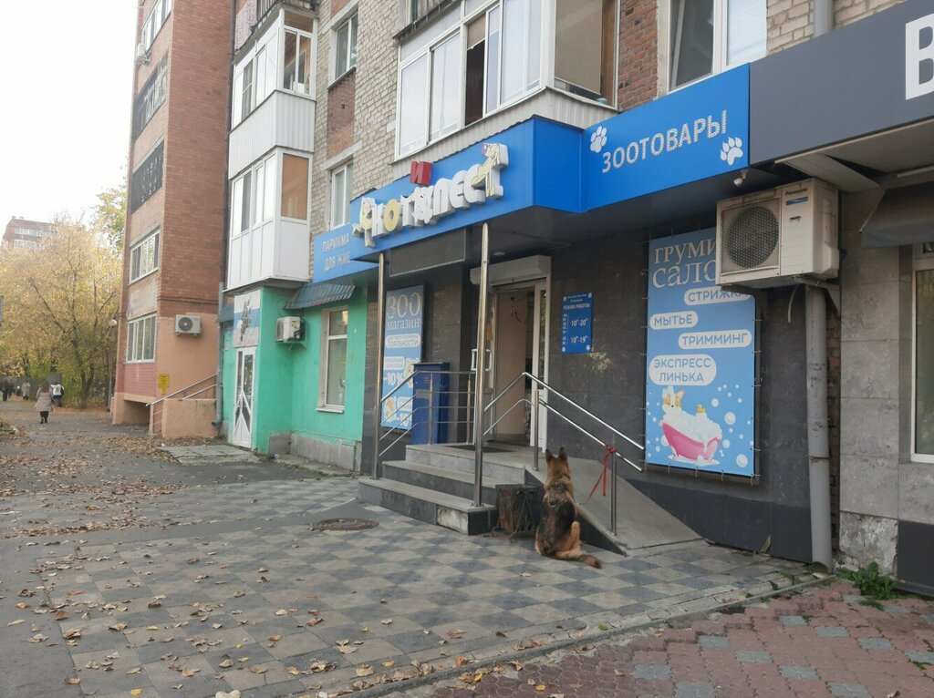 Petshop Kot i Pyos, Tiumen, foto