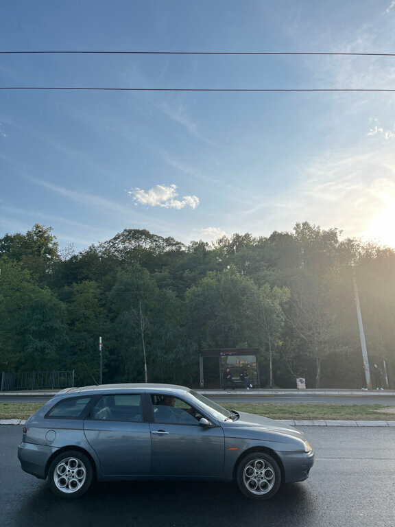 Orman Hyde Park, Belgrad, foto